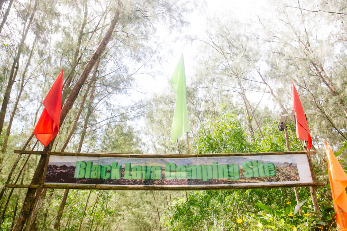 Mayon Black Lava Trail Your Brother Mayon Atv Tour Legazpi Albay